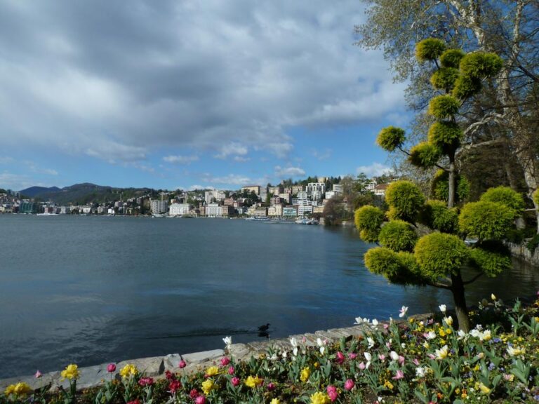 Lugano-Monte Bre – Alpineg